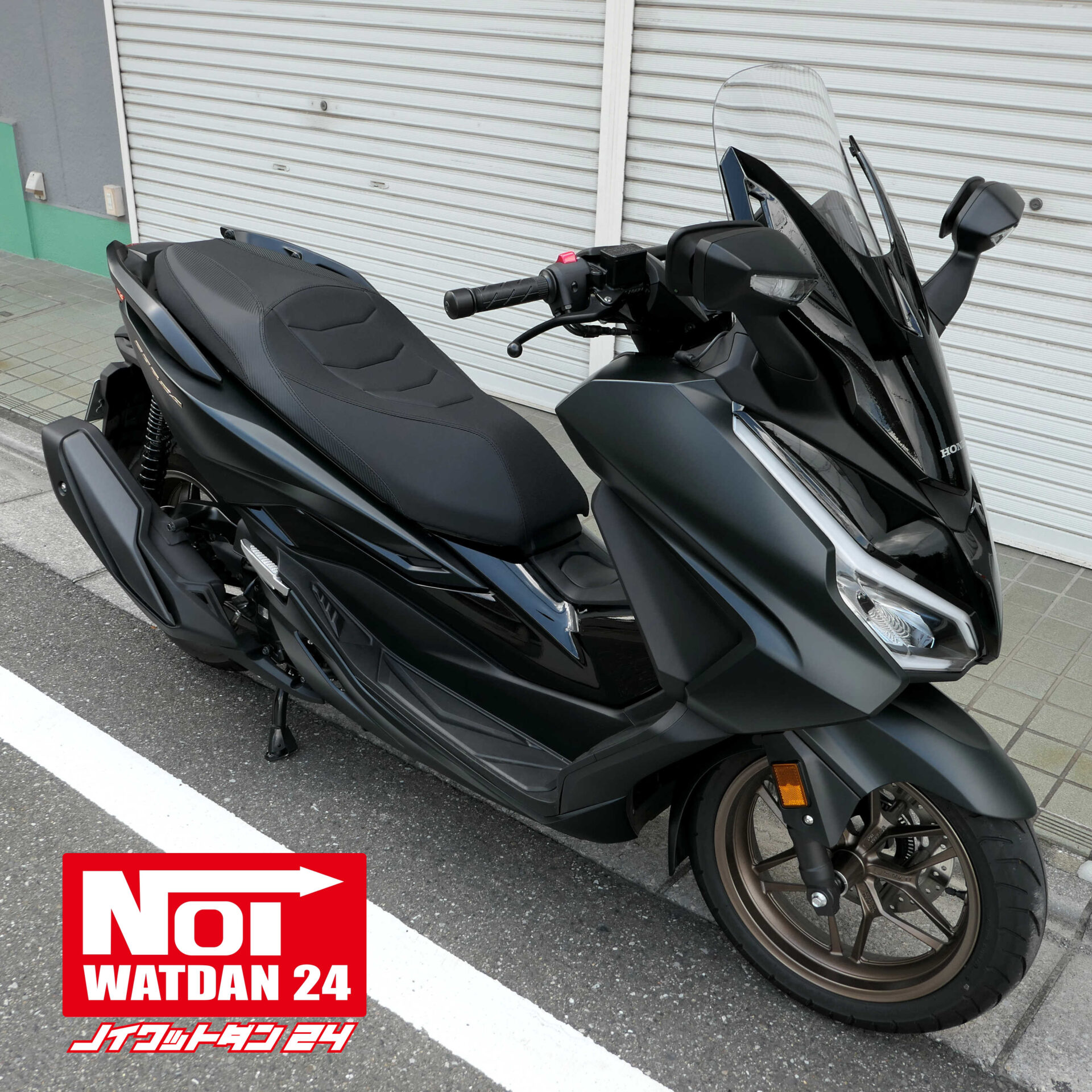 FORZA(MF17/MF15) – NOI WATDAN 24