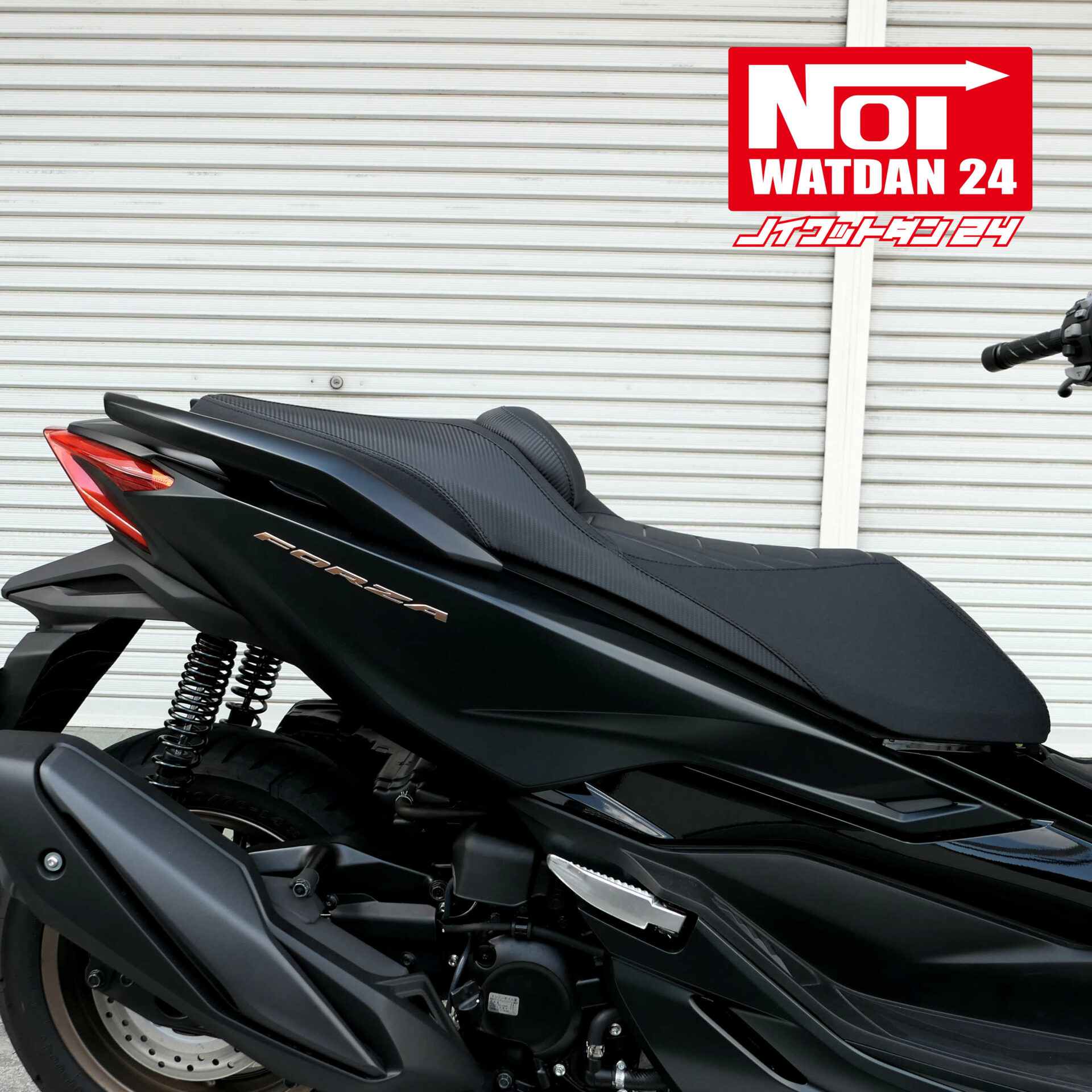 FORZA(MF17/MF15) – NOI WATDAN 24